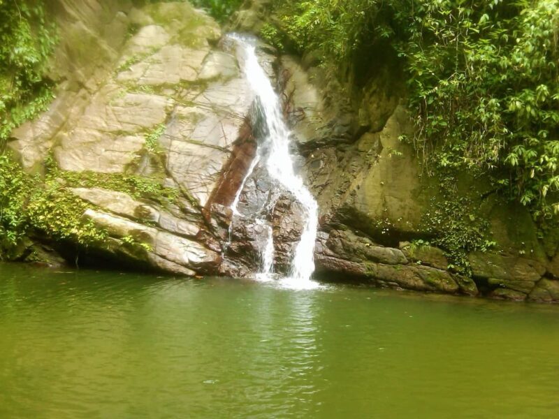 Argyle Waterfall - Tobago Guide