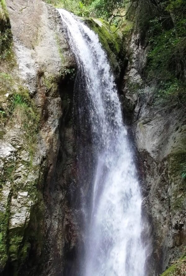 Argyle Waterfall - Tobago Guide