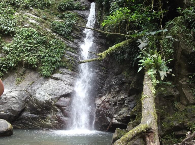 Argyle Waterfall - Tobago Guide