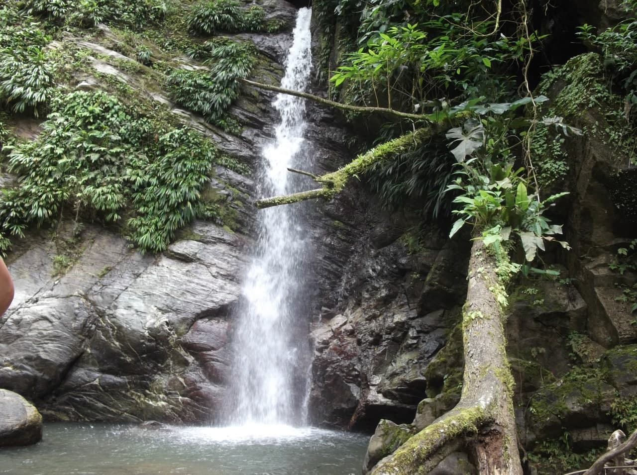 Tobago Waterfalls - Tobago Guide